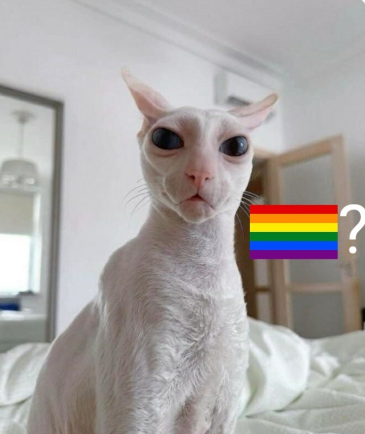 gifted unsightly understood