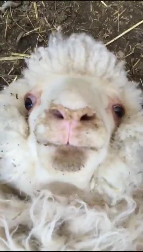when your alarm goes off