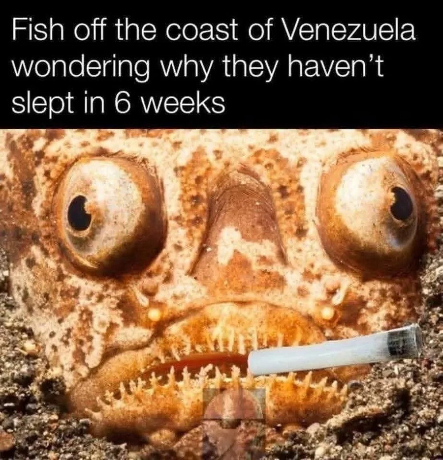 crabby stubborn vigilant