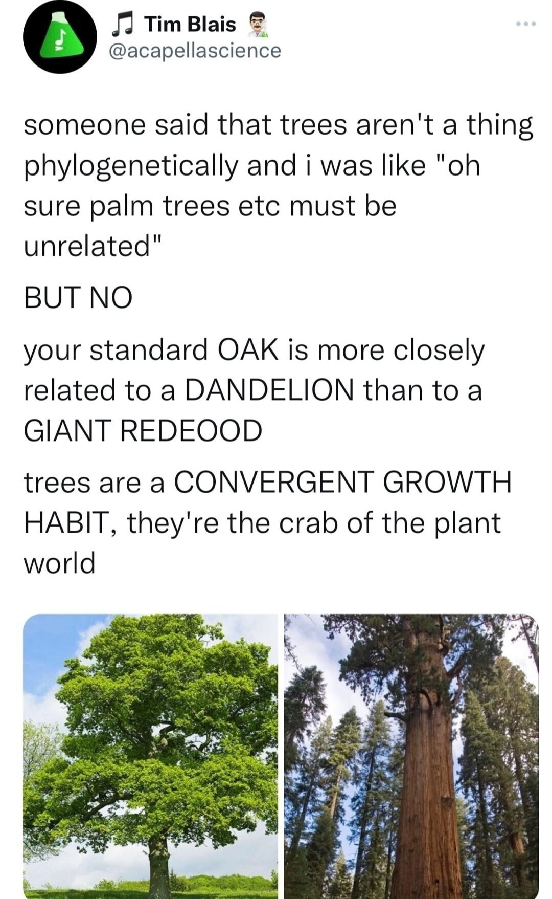 petite admired determined