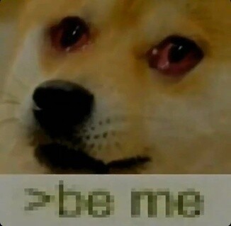 Spiders aren't even big enough to break skin here in - #267414102 added ...